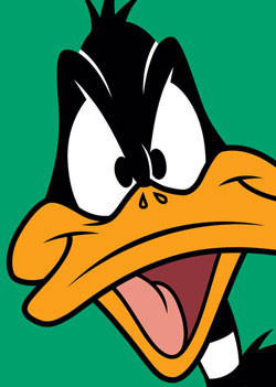 Plakat DUFFY DUCK | Poster an der Wand | 3+1 GRATIS | Europosters