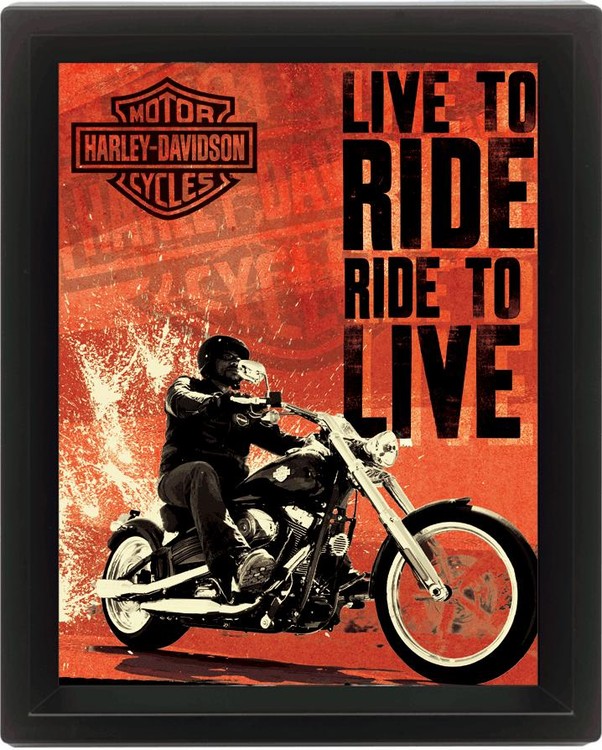 3D poster HARLEY DAVIDSON - live in vendita | EuroPosters