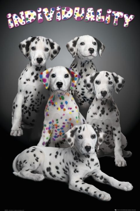 Plakat Keith Kimberlin – individuality | Poster an der Wand | 3+1 ...