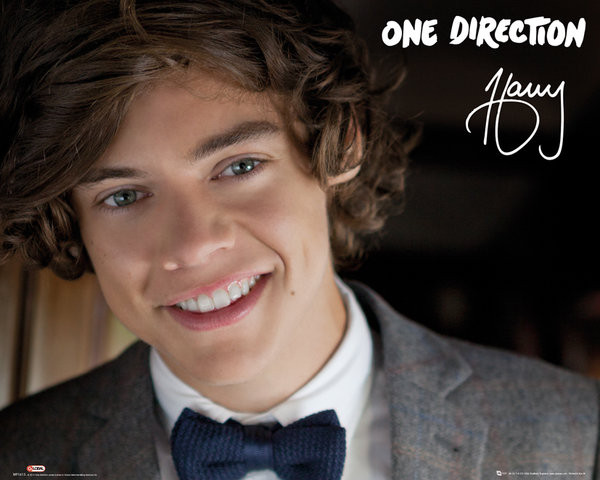 Plakat One Direction -harry | Poster an der Wand | 3+1 GRATIS | Europosters