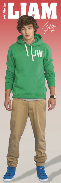 Plakat One Direction - liam | Poster an der Wand | 3+1 GRATIS | Europosters
