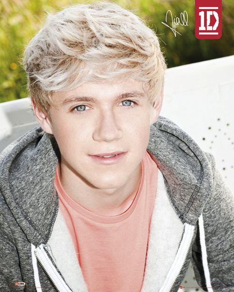 Poster, Quadro One Direction - niall | Poster sul muro | 3+1 GRATIS ...