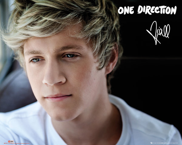 Poster, Quadro One Direction -niall | Poster sul muro | 3+1 GRATIS ...