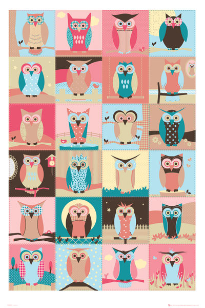 Plakat Owls - compilation | Poster an der Wand | 3+1 GRATIS | Europosters