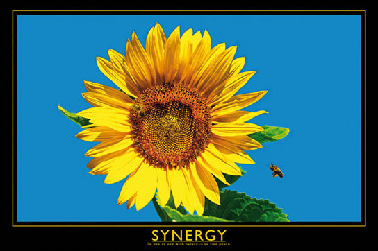 Poster, Quadro Synergy | Poster sul muro | 3+1 GRATIS | Europosters