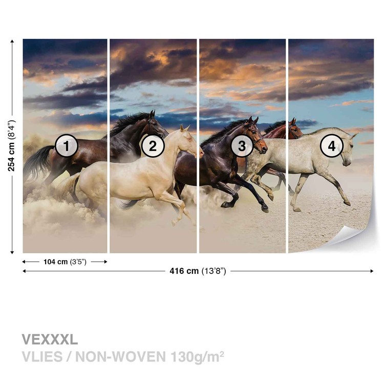 Chevaux Poster Mural, Papier peint | Acheter-le sur Europosters.fr