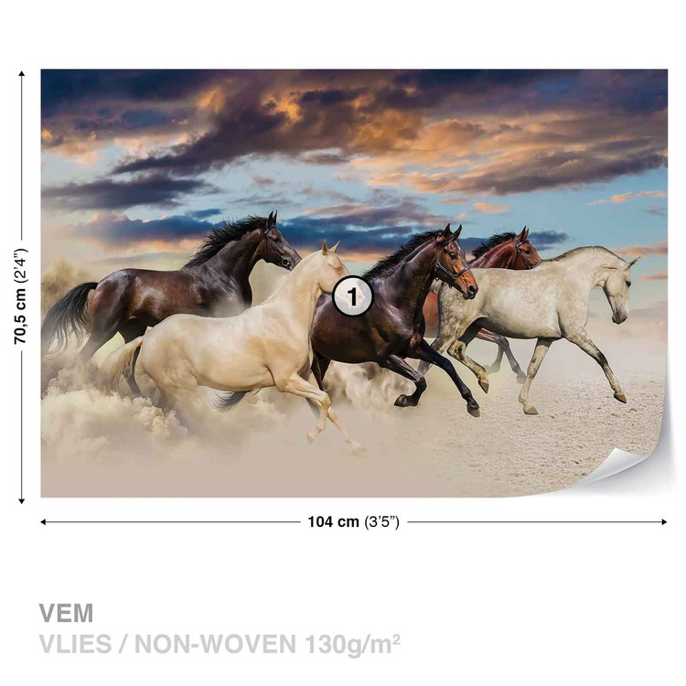 Chevaux Poster Mural, Papier peint | Acheter-le sur Europosters.fr