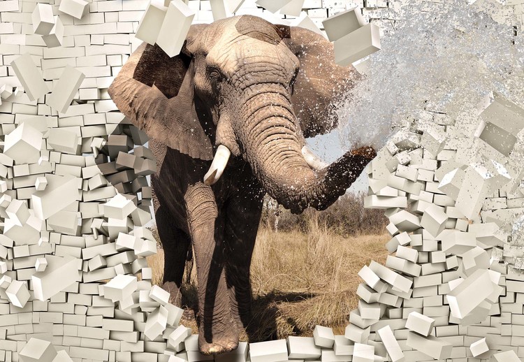 Elephant Bursting Through Brick Wall Poster Mural, Papier peint ...