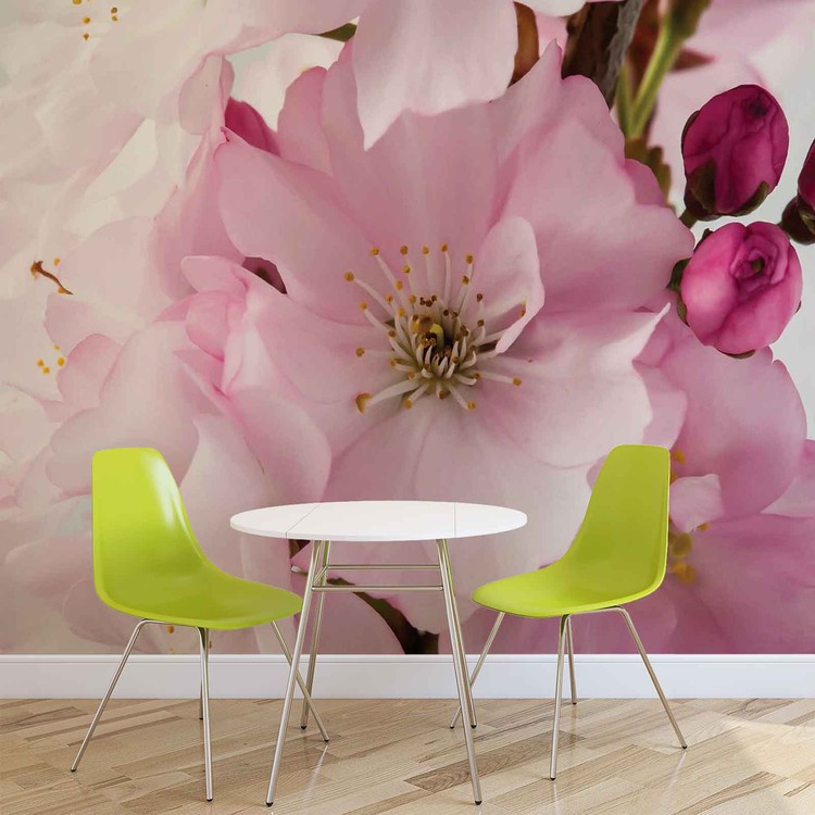 Fleurs écloses Nature Rose Poster Mural, Papier peint | Acheter-le sur ...