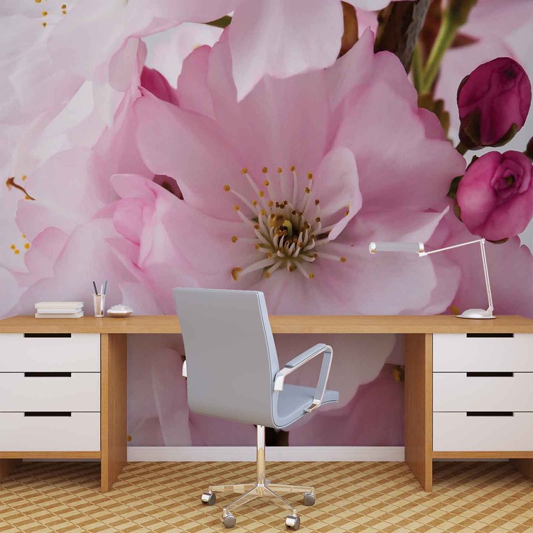 Fleurs écloses Nature Rose Poster Mural, Papier peint | Acheter-le sur ...