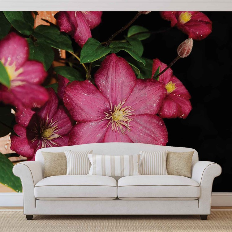 Fleurs Nature Poster Mural, Papier peint | Acheter-le sur Europosters.fr