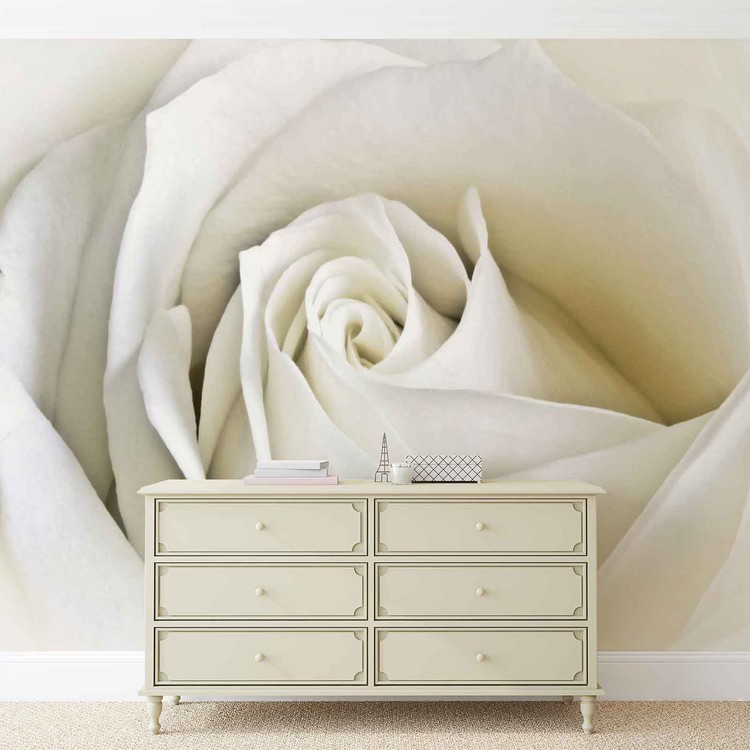 Fleurs Rose Blanc Nature Poster Mural, Papier peint | Acheter-le sur ...