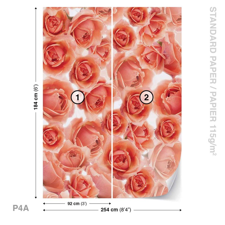 Fleurs Roses Rouges Poster Mural, Papier peint | Acheter-le sur ...