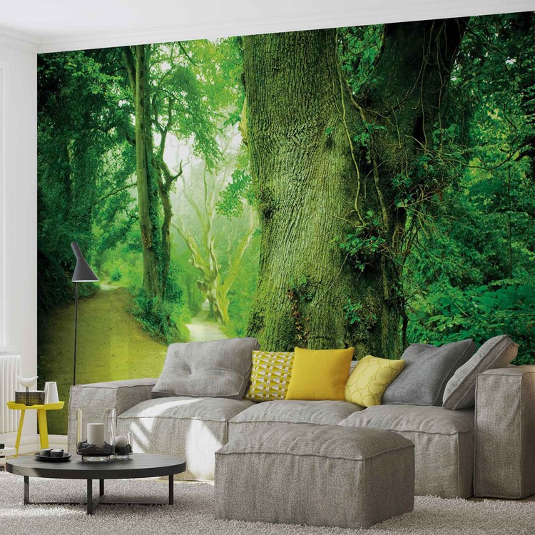 Forêt Nature Arbres Poster Mural, Papier peint | Acheter-le sur ...