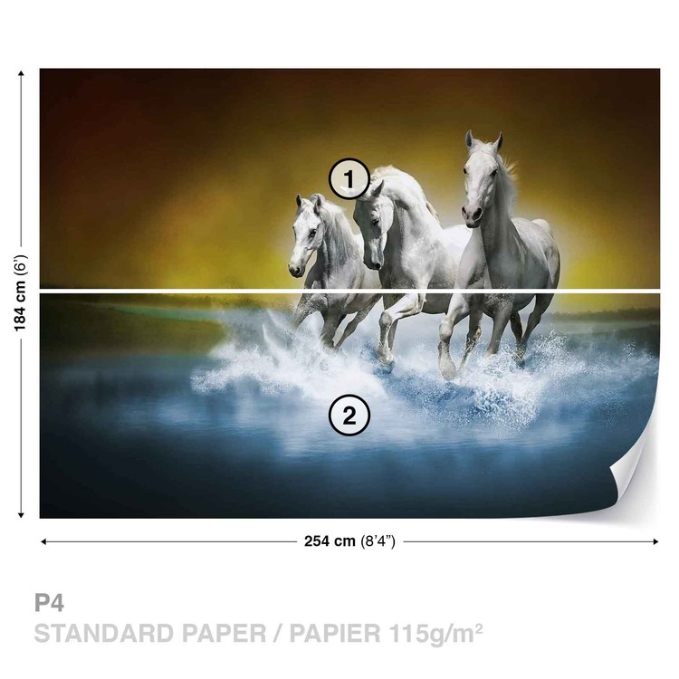 Les chevaux Poster Mural, Papier peint | Acheter-le sur Europosters.fr