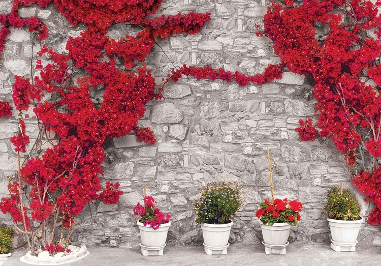 Mur de pierre aux fleurs rouges Poster Mural, Papier peint | Acheter-le ...