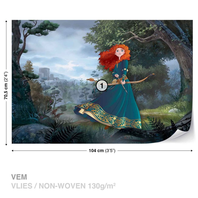 Princesses Disney Merida Brave Poster Mural, Papier peint | Acheter-le ...