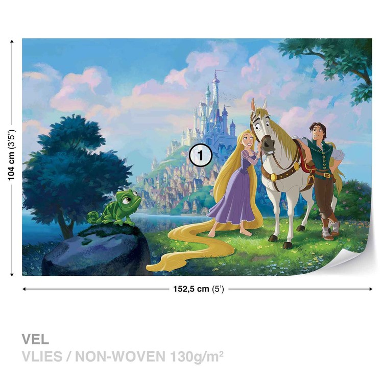 Princesses Disney Raiponce Poster Mural, Papier peint | Acheter-le sur ...