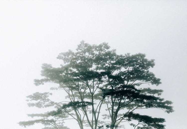 Timor-Leste Poster Mural, Papier peint | Acheter-le sur Europosters.fr