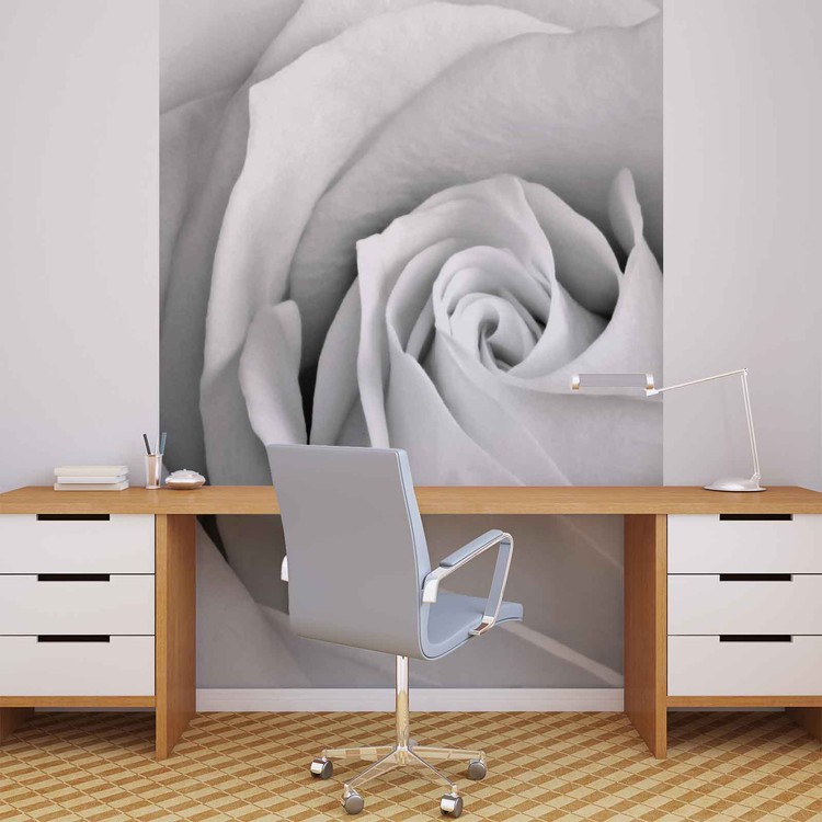 Une rose Poster Mural, Papier peint | Acheter-le sur Europosters.fr