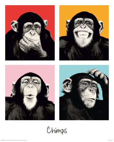 Chimp - pop Póster, Lámina | Compra en Posters.es