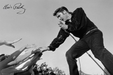 Elvis Presley - crowd Póster, Lámina | Compra en Posters.es