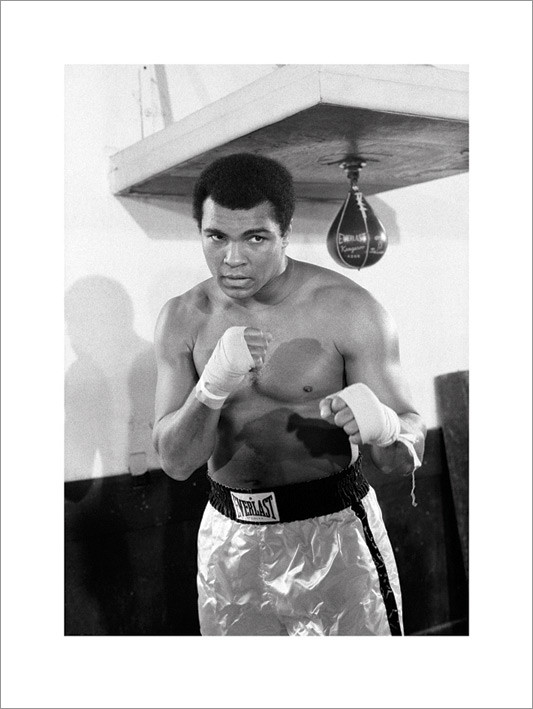 Kunstdruck Muhammad Ali vs Pose bei EuroPosters
