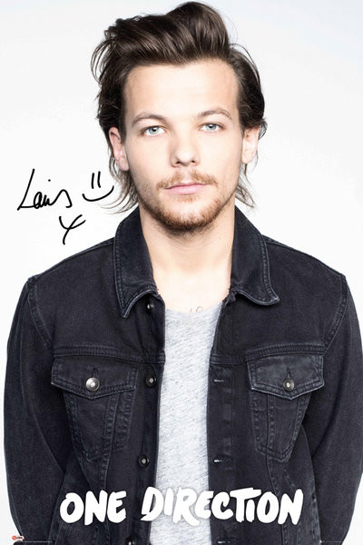 One Direction - Louis 2015 Póster, Lámina | Compra en Posters.es
