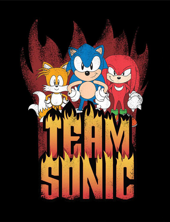 Poster encadré Sonic the Hedgehog - Team Sonic | Posters, tableaux ...