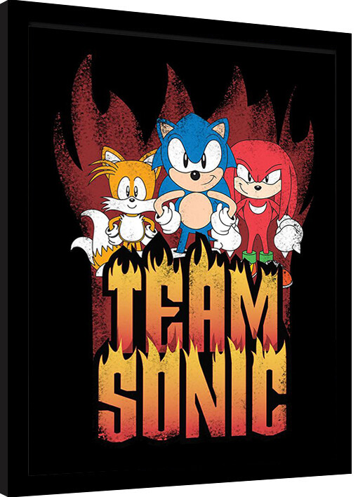 Plakat i ramme Sonic the Hedgehog - Team Sonic | Plakater, billeder ...