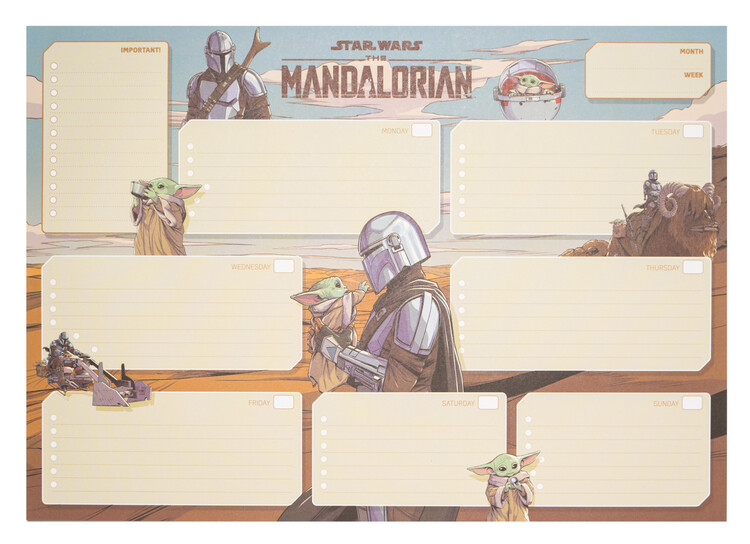 Planner Star Wars: The Mandalorian | Tips for original gifts