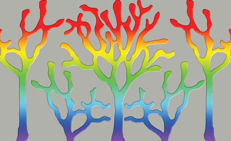 Tree Abstract Rainbow Wall Paper Mural | Buy at UKposters