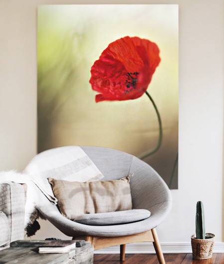 Tableaux sur Toile | Décorations murales | Europosters