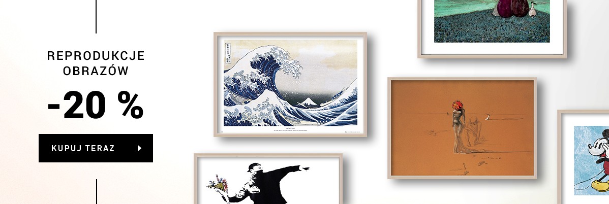 Plakaty, Obrazy, Fototapety | Największy wybór na Posters.pl