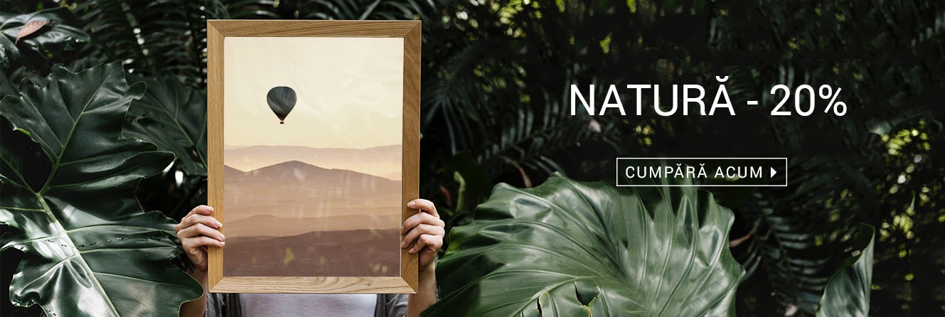 Afișe, Postere, Imagini, Fotografii, Tablouri pe Europosters.ro